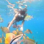 Private Snorkeling in Manta Bay, Gamat Bay & Wall at Nusa Penida - FAQ
