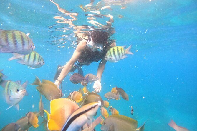 Private Snorkeling in Manta Bay, Gamat Bay & Wall at Nusa Penida - FAQ