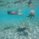 Private Snorkeling Tour GoPro Footage Costumize Tour - Why Choose This Tour?
