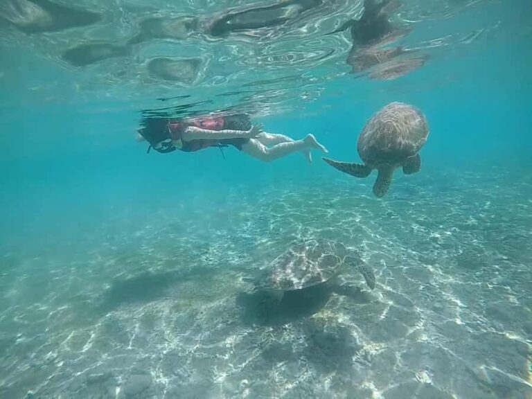Private Snorkeling Tour GoPro Footage Costumize Tour - Why Choose This Tour?