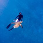 Private snorkeling with turtle and romantice statue - Who Is This Tour Best For?