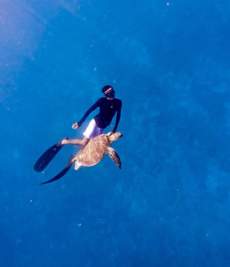 Private snorkeling with turtle and romantice statue - Who Is This Tour Best For?