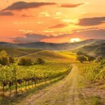 Private Sonoma Winery Tour - Who Will Enjoy This Tour?
