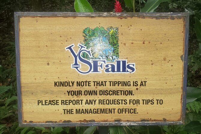 Private South Coast Floyd Pelican Bar & YS Fall fr. Montego Bay - Transport, Timing, and Practicalities