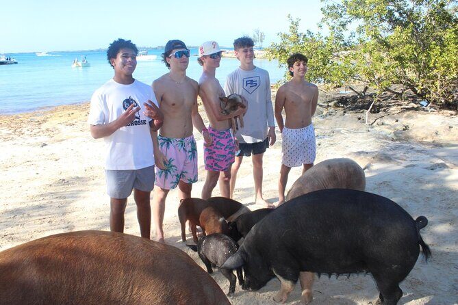 Private speed boat beach and bar hopping visiting Rose island - The Itinerary in Detail