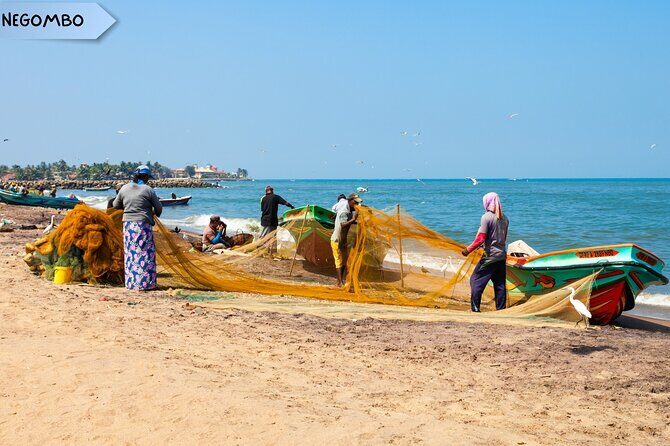 Private Sri Lanka Multi Day Tour - Exploring the Highlights: A Deep Dive into the Itinerary