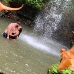 Private St Lucia Cruise Ship Excursion - Detailed Breakdown of the Itinerary