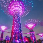 Private Starry Night Singapore Tour and Roundtrip Transfers - Authentic Feedback from Fellow Travelers