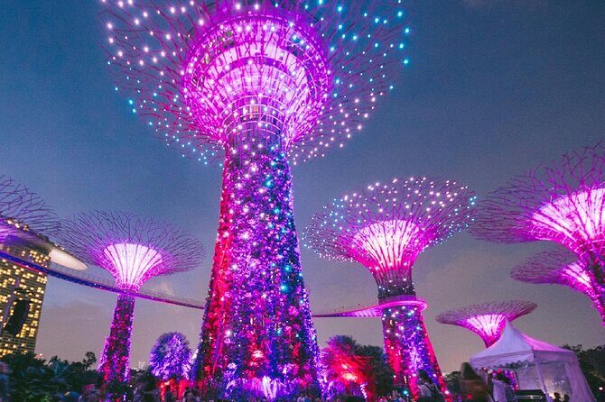 Private Starry Night Singapore Tour and Roundtrip Transfers - Authentic Feedback from Fellow Travelers