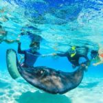 Private Stingray City Snorkeling and BioBay Charter for 10 Guests - Why This Tour Is a Great Value