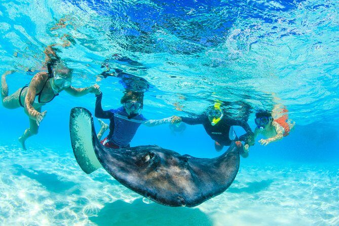 Private Stingray City Snorkeling and BioBay Charter for 10 Guests - Why This Tour Is a Great Value