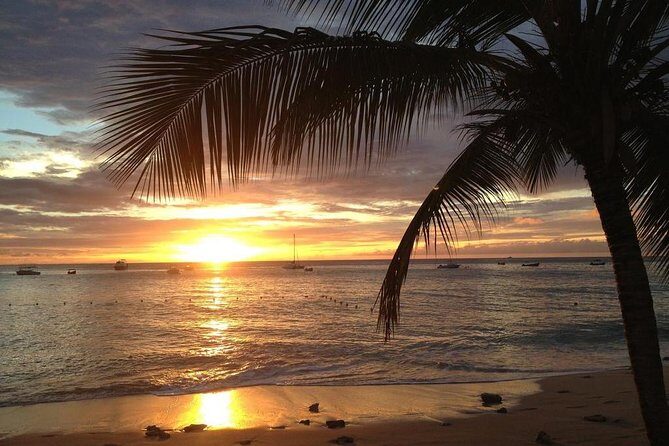 Private Sunset Horseback Riding in punta cana beach - The Scenic Highlights