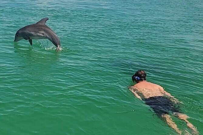 Private Swimming with Dolphins in Panama City Beach Florida - Who Will Love This Tour?