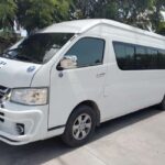 Private Taxi Airport Punta Cana To Miches One Wey - A Detailed Look at the Isla Saona Tour Experience