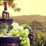 Private Temecula Wine Country Tour from San Diego - The Experience from Past Travelers’ Perspectives