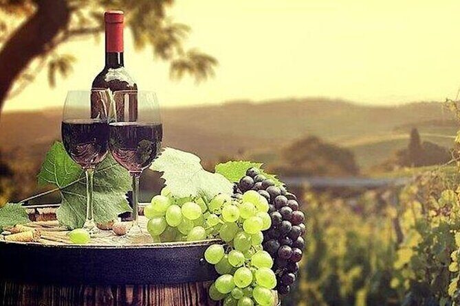 Private Temecula Wine Country Tour from San Diego - The Experience from Past Travelers’ Perspectives