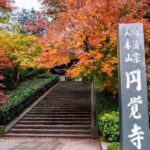 Private Temples and Nature in North Kamakura Walking Tour - What Travelers Say