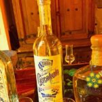 Private Tequila Bar Tour in Tokyo - A Detailed Look at the Itinerary