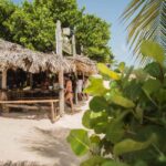 Private: The Great Barrier & Coral Garden Scuba Dive Tour - Who Will Love This Tour?