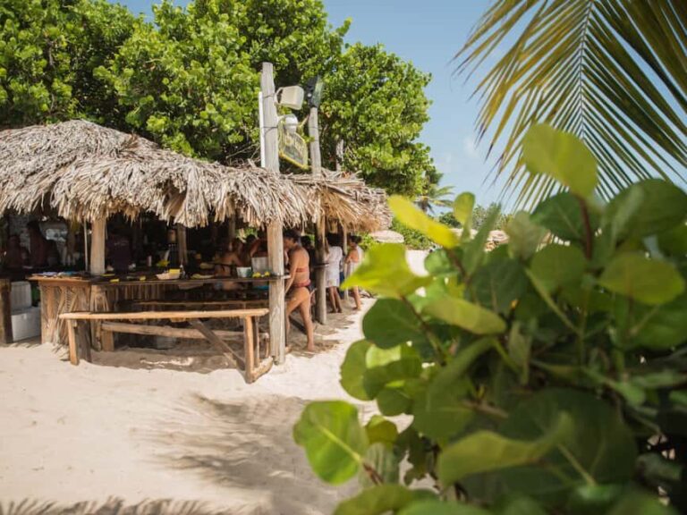 Private: The Great Barrier & Coral Garden Scuba Dive Tour - Who Will Love This Tour?