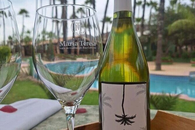 Private Therapeutic Massage Experience in Valle de Guadalupe - The Meeting Point and Location