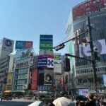 Private Tokyo, Fully Customized  Your Day, Your Pace - A Detailed Look at the Itinerary