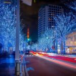 Private Tokyo Holiday Lights and Christmas Market Walk - Practical Considerations
