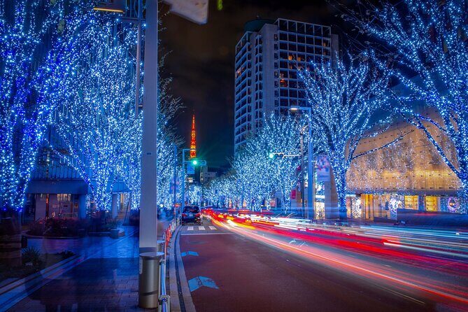 Private Tokyo Holiday Lights and Christmas Market Walk - Practical Considerations