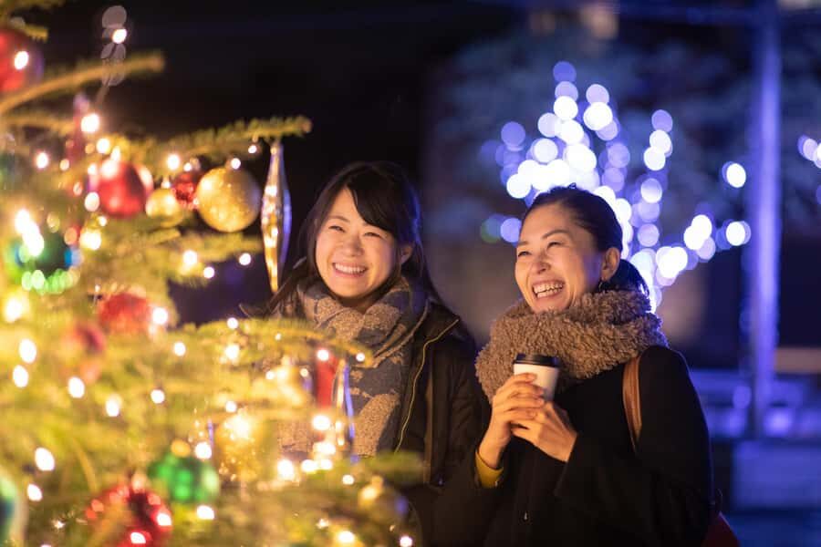 Private Tokyo Holiday Lights & Christmas Market Walk - An In-Depth Look at the Itinerary and Experience