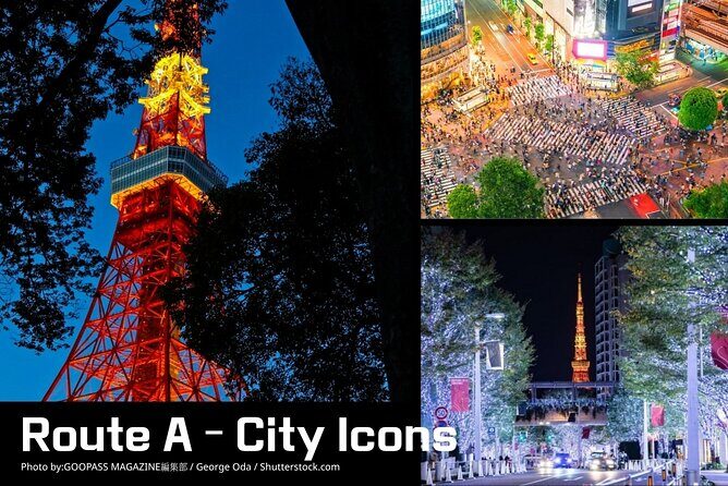 Private Tokyo Night Time Sightseeing Ride 3 Scenic Route Options - Analyzing the Value