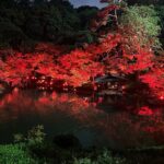 Private Tokyo Night Tour - The Sum Up