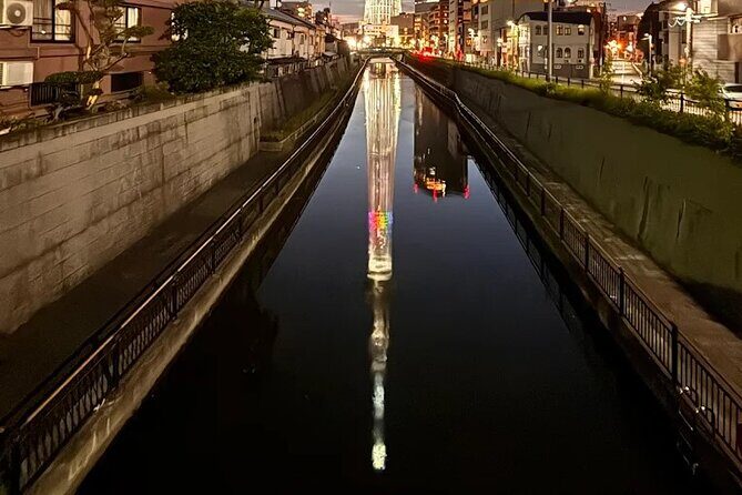 Private Tokyo Night Tour - Practical Details: What to Expect