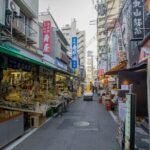 Private Tokyo Night Tour with English Speaking Driver - The Itinerary: What to Expect