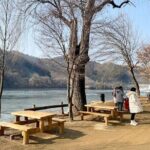 Private Tour at Nami Island and Elysian Ski Resort - Final Thoughts: Is This Tour Worth It?