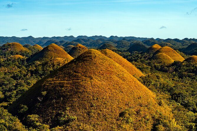 Private Tour Bohol Chocolate Hills Loboc River Cruise - A Detailed Look at the Tour