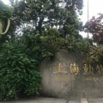 Private Tour by metro of Shanghai Zoo, Qibao Old Town and Shanghai Tower - The Height of Modernity at Shanghai Tower