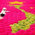 Private Tour Discover Incense Village, Hoa Lu & Tam Cocs Beauty - Practical Tips for Participants