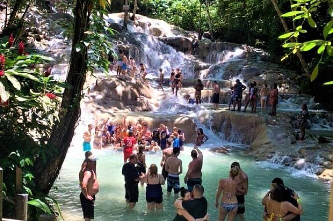 Private Tour - Dunn's River Falls and Ocho Rios Experience from Ocho Rios - What Sets This Tour Apart?