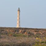 Private Tour: Essential Tour of Aruba - The Sum Up: Who Will Find This Tour Most Valuable?