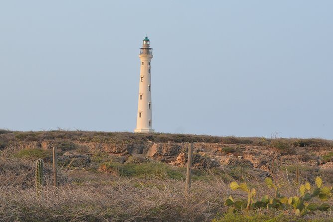 Private Tour: Essential Tour of Aruba - The Sum Up: Who Will Find This Tour Most Valuable?