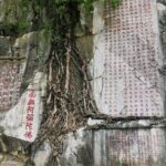 Private Tour from Guangzhou to Seven Star Crags (Qixingyan) - What Do Visitors Say?