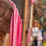 Private Tour from Mexico City to San Miguel de Allende - Exploring the Zócalo and Surrounding Streets