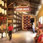 Private Tour from Montego Bay to Appleton Estate and YS Falls - Practical Details and What to Expect