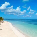 Private Tour From Ocho Rios To Negril 7 Mile Beach and Ricks Cafe - What’s Included and What’s Not