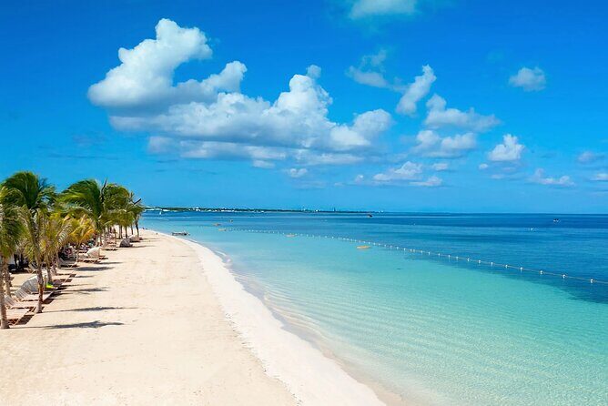 Private Tour From Ocho Rios To Negril 7 Mile Beach and Ricks Cafe - What’s Included and What’s Not