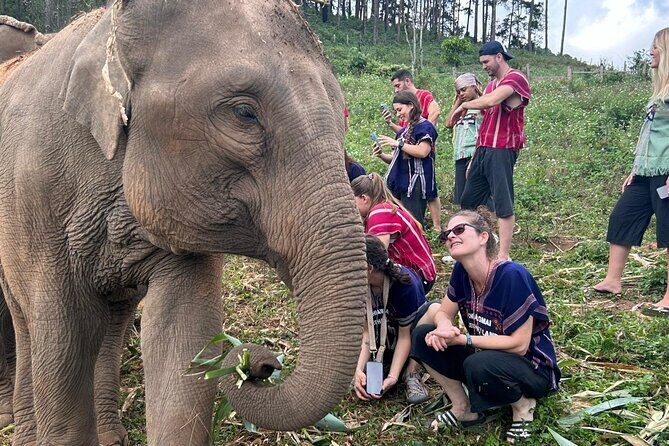 Private Tour Guide with Private Car - Authenticity and the Value of Local Guides