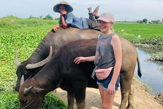 Private Tour Hanoi to Ninh Binh: Mua Caves, Tam Coc & Hoa Lu - Practical Considerations and Value