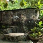 Private Tour Historical and Beach Tortola - What the Reviews Say