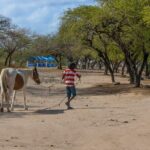 Private Tour Horseback Riding and Beach in St Lucia - Who Should Consider This Tour?