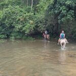 Private Tour in Miches with La Jarda Waterfall Experience - Practical Details: Making the Most of Your Day